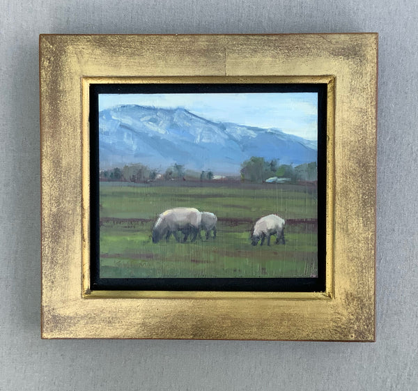 Sheep - original – New Vision Art